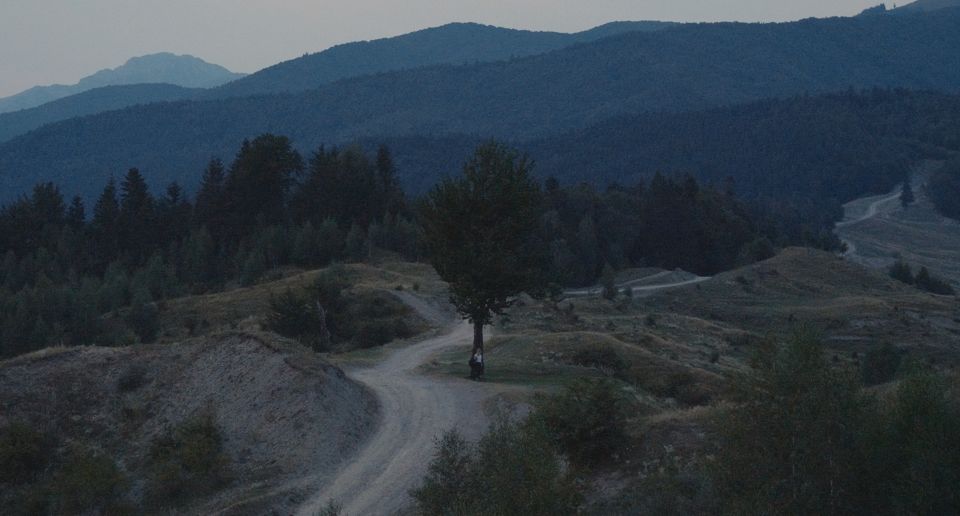 Going North de Pauline Pénichout (2022) - Unifrance