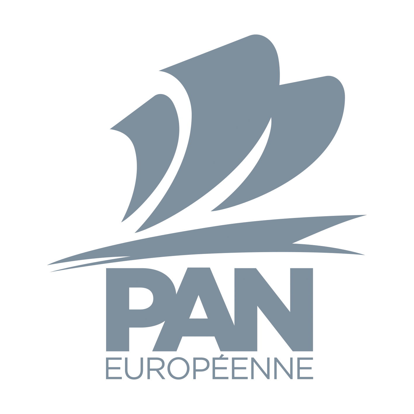 Pan-Européenne (France) - Unifrance