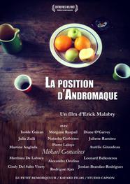 La Position d'Andromaque de Érick Malabry (2017) - Unifrance