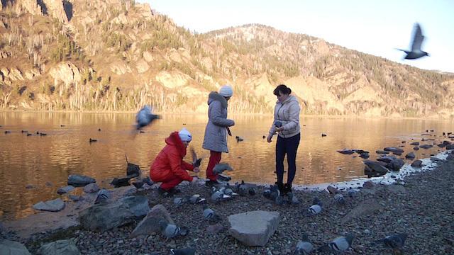 Alexander Kuznetsov - Unifrance