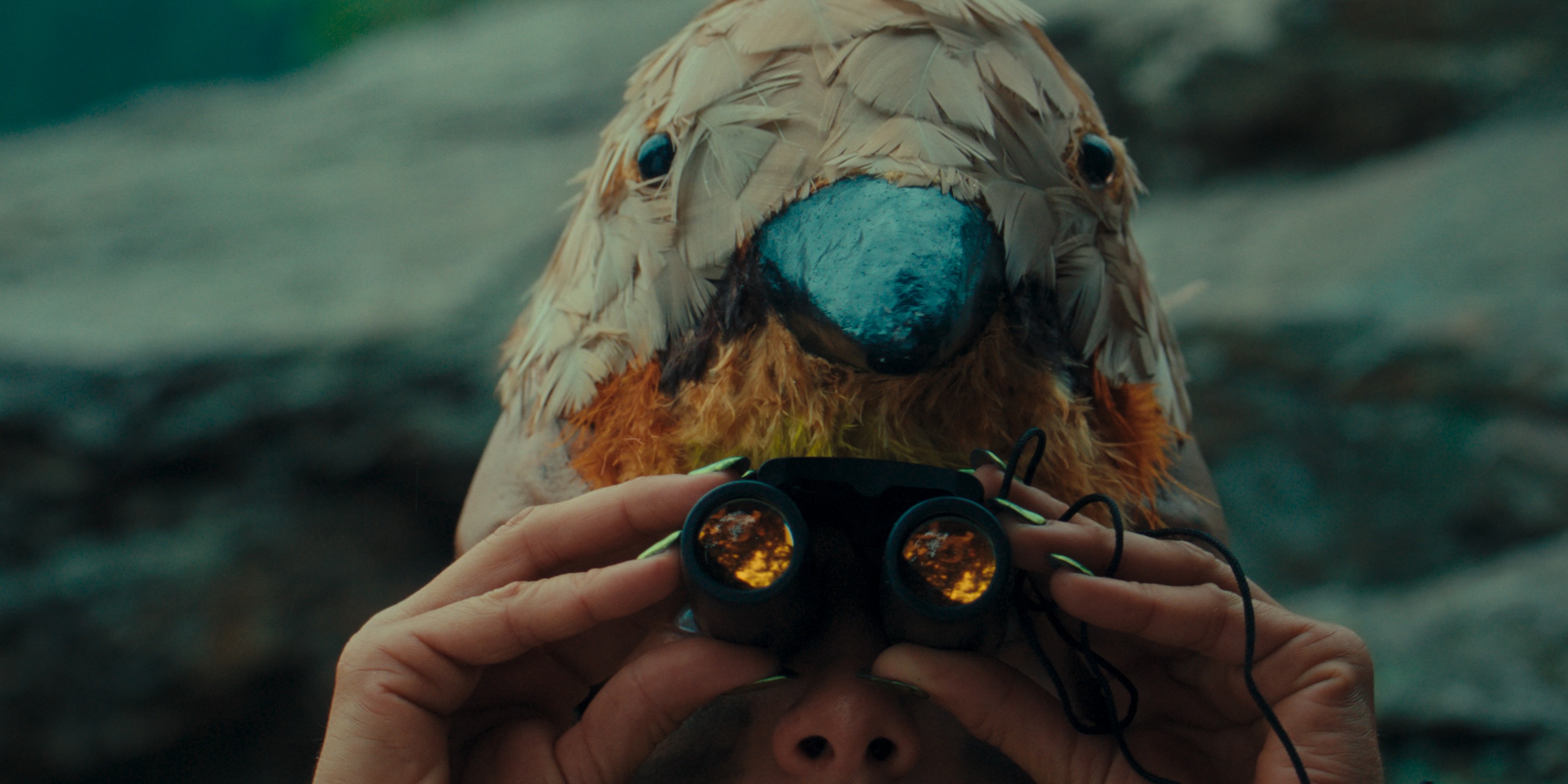 Scritch Scritch de Chloé Larrère (2025) - Unifrance