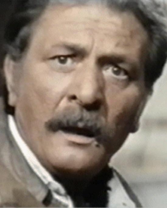 Furio Meniconi - Alchetron, The Free Social Encyclopedia