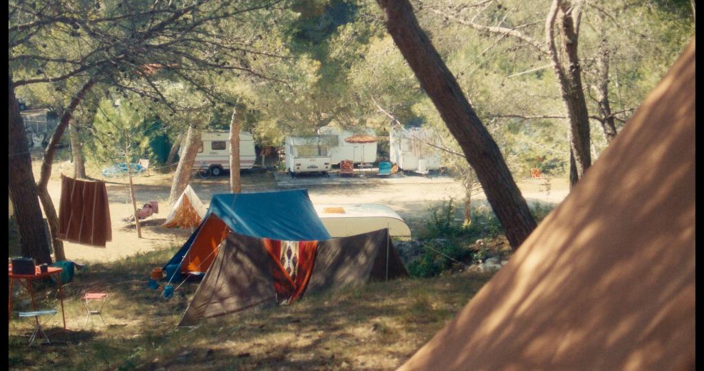 Dear Louise de Rémi Brachet (2024) - Unifrance