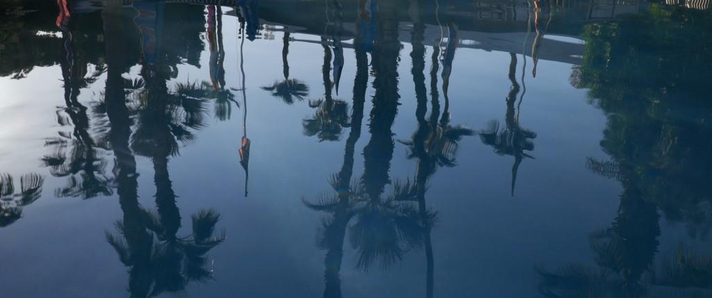 Fotogram (France) - Unifrance