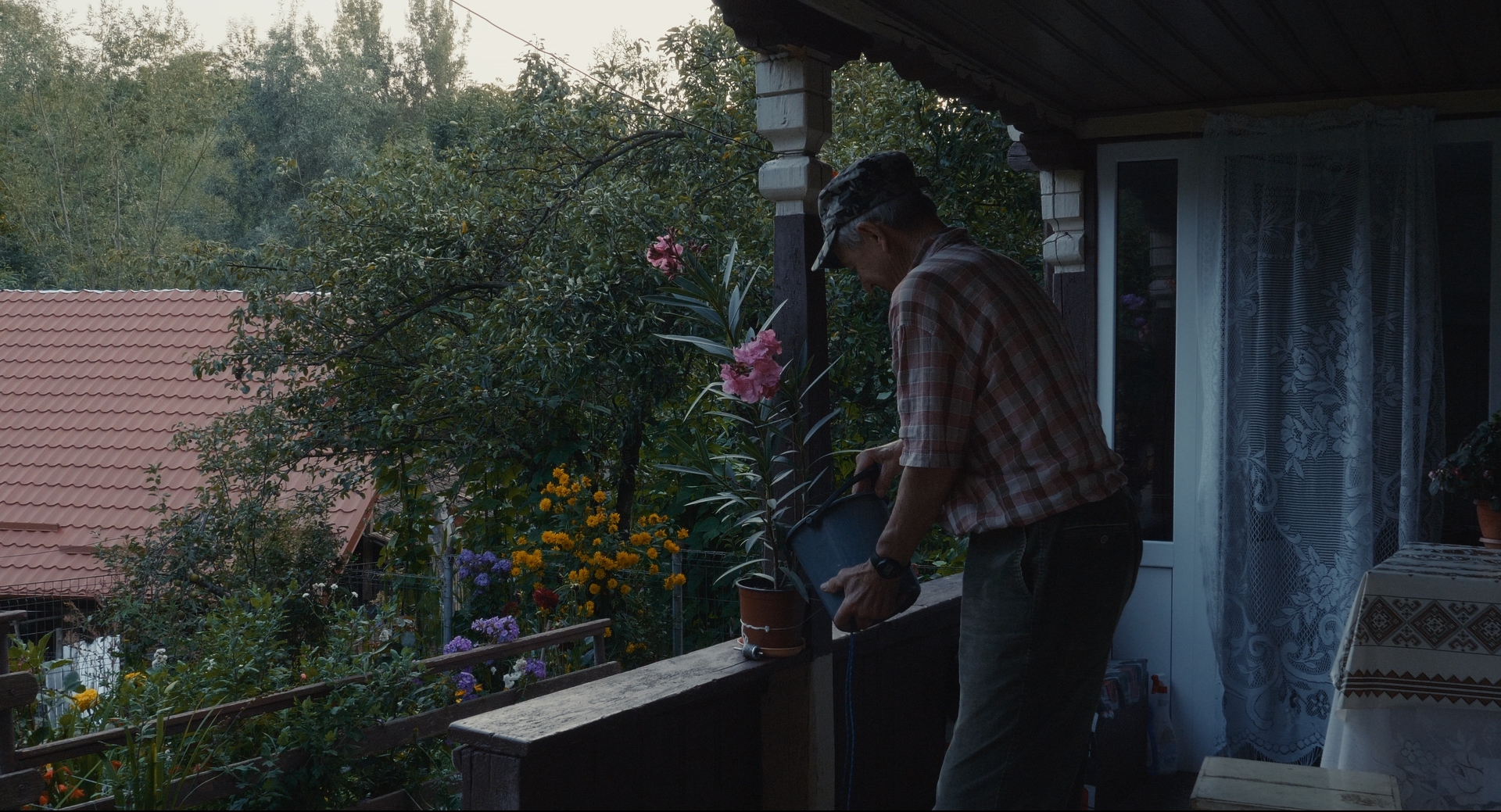 Going North de Pauline Pénichout (2022) - Unifrance