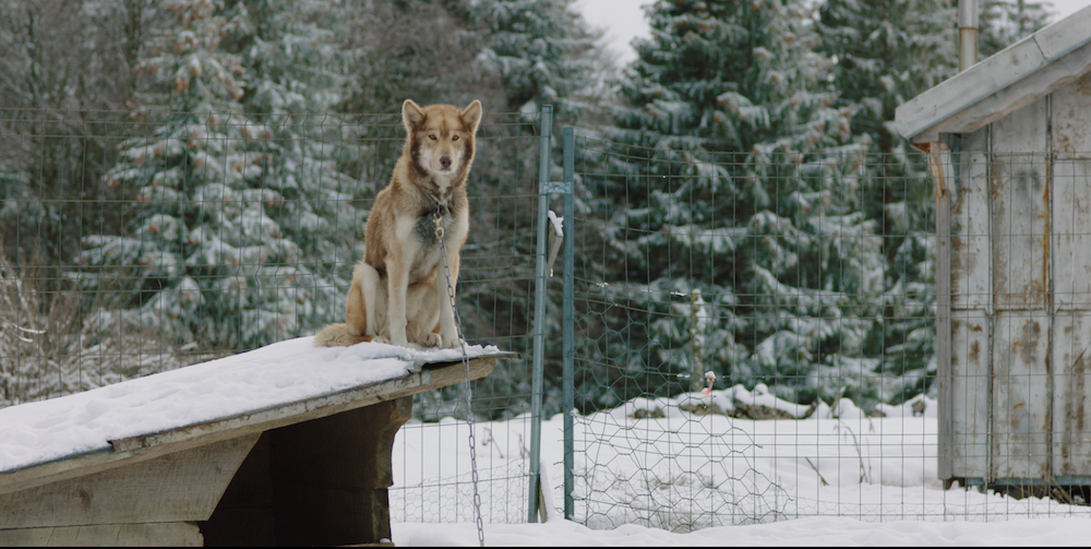 Nicolas Godart - Unifrance