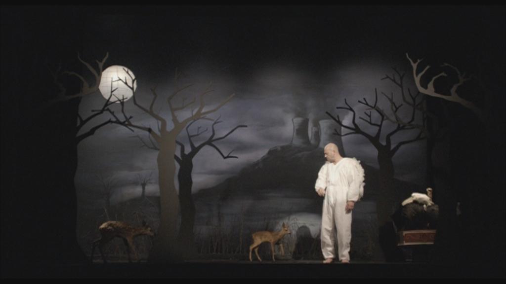 Le Cygne de Emma Perret (2009) - Unifrance