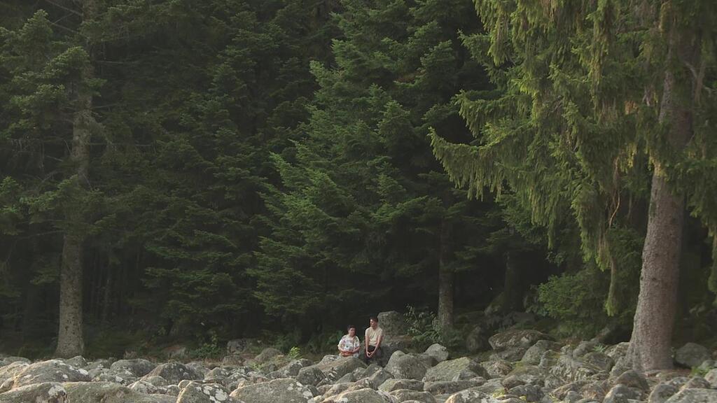 Albéric Brenel - Unifrance