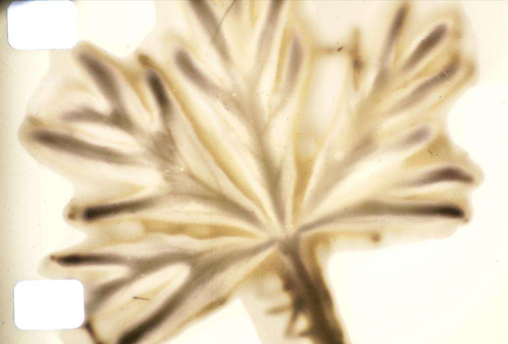 Sunny 16 Helsinki de Ève Le Fessant Coussonneau (2024) - Unifrance