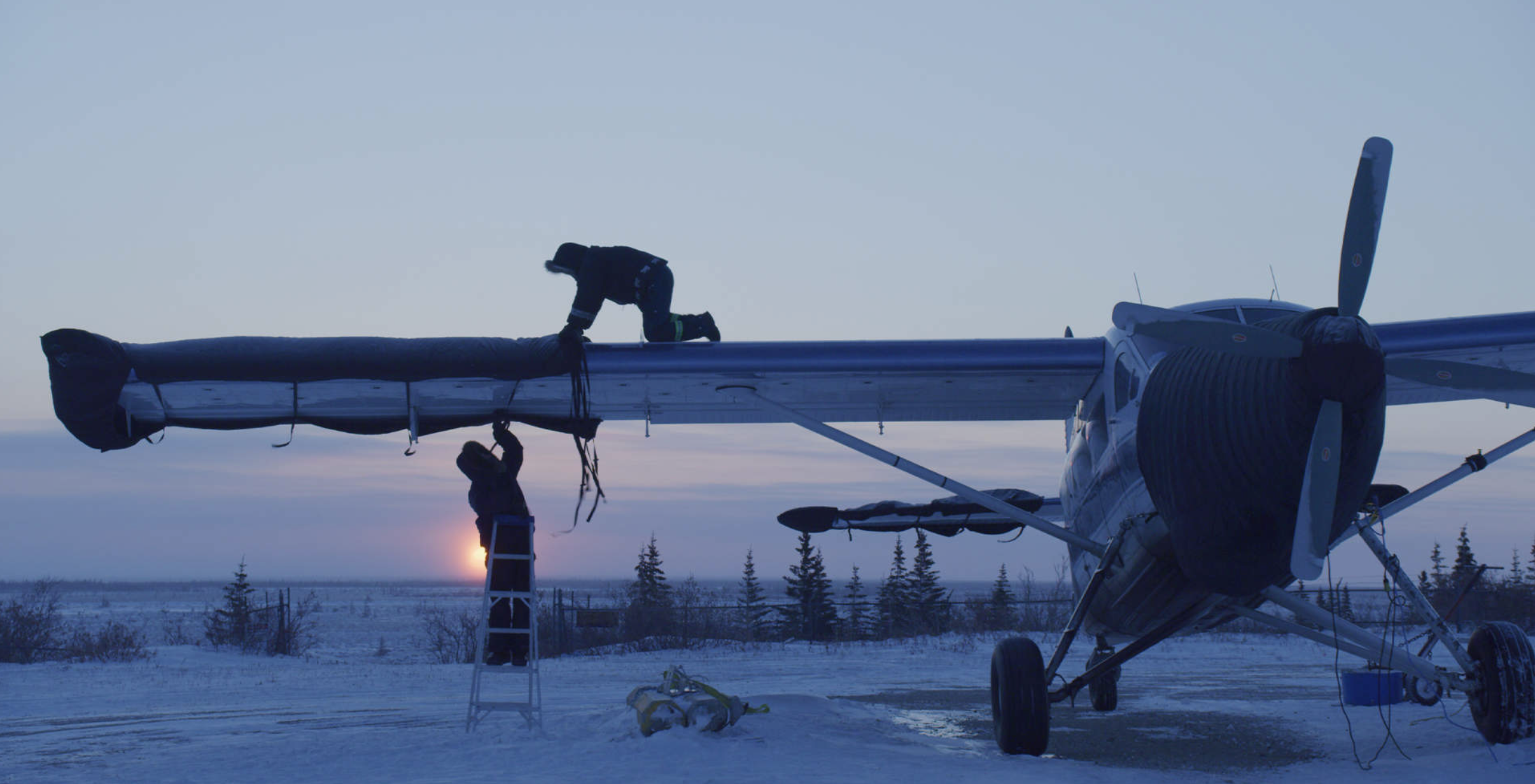 Kingdom of the Polar Bears de Alexis Barbier-Bouvet (2020) - Unifrance