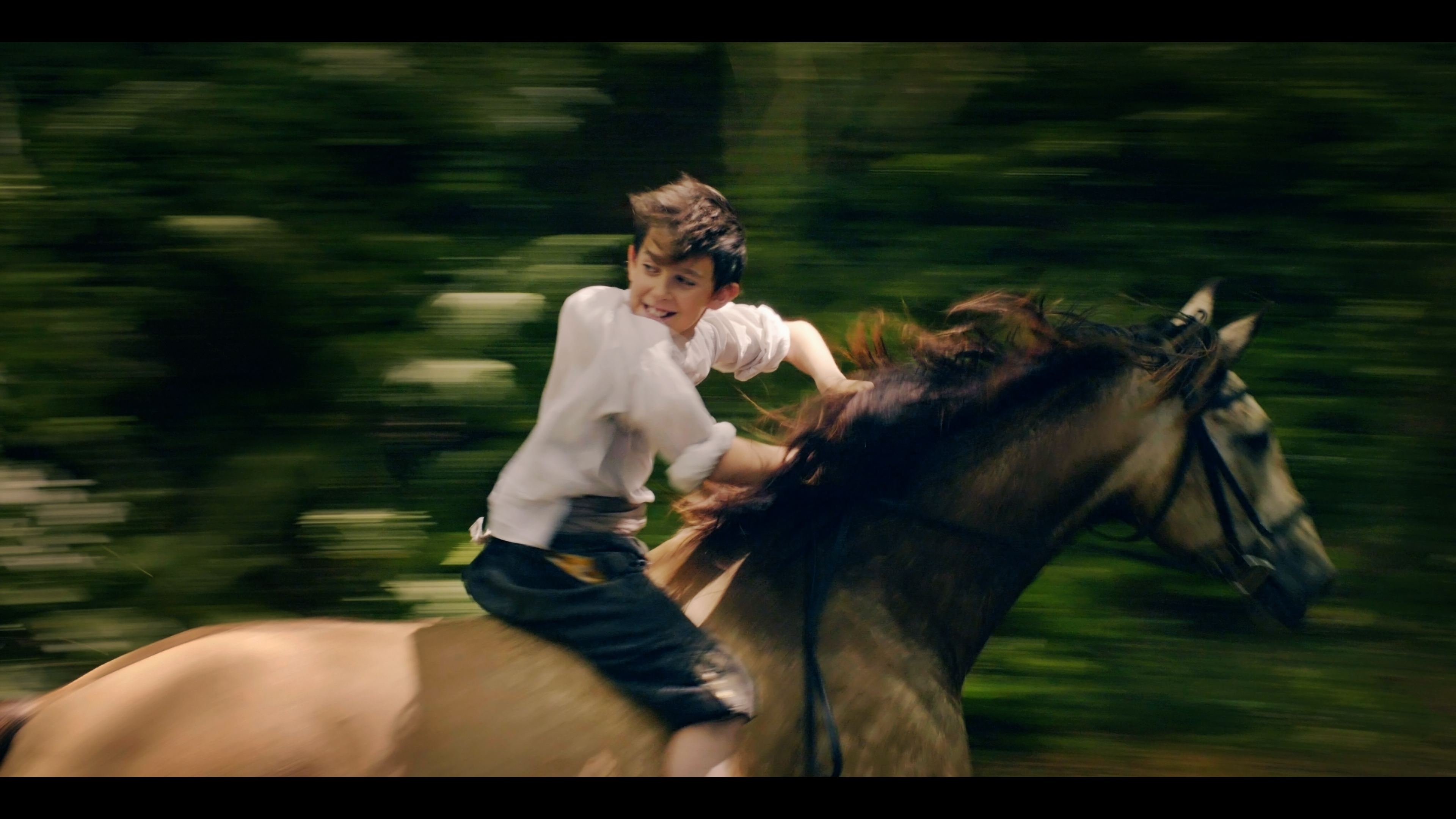 D’Artagnan and the Three Musketeers: the true story de Augustin Viatte ...