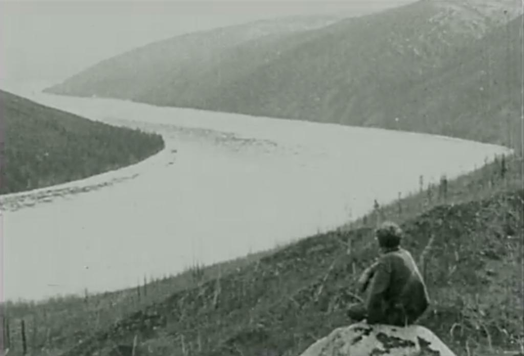 The Bird and US de Félix Rehm (2016) - Unifrance