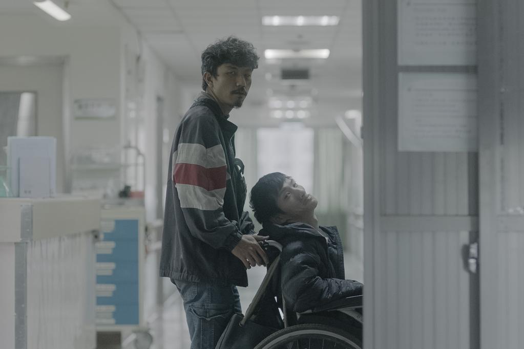 Alpha Violet (France) - Unifrance